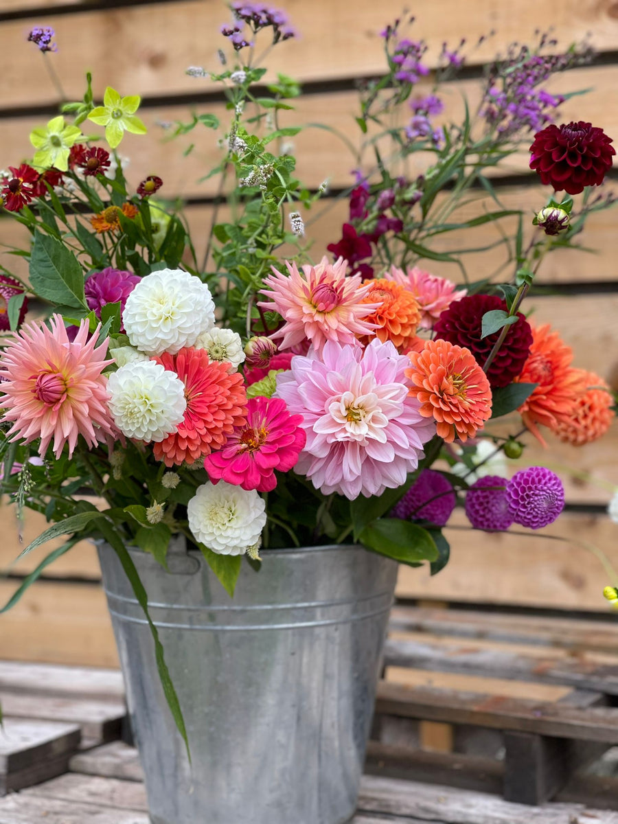 Retail: Summer Flowers Mix Bucket Medium 40 Stems – Lakes & Rivers ...